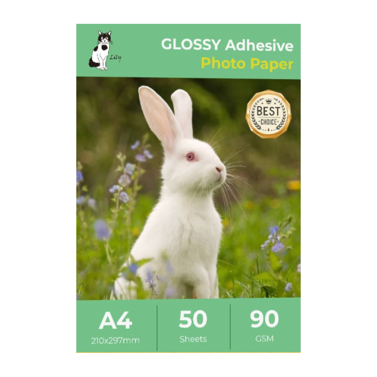 RESMA PAPEL FOTOGRÁFICO GLOSSY ADHESIVO 90GR ECONÓMICO - LILY – Insumos ...